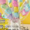 20 Amazing and Adorable Ways to Use Peeps - Sweet Anne Designs