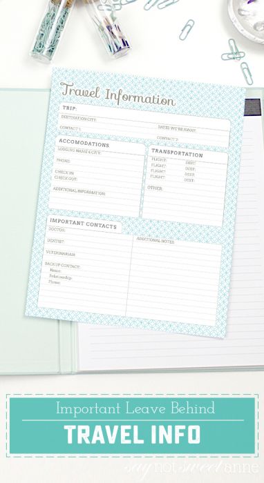 Important Travel Information Printable - Sweet Anne Designs
