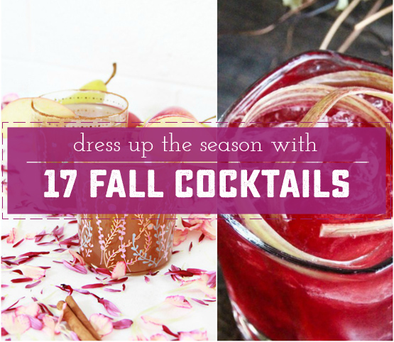 17 Amazing Fall Cocktails you'll Love for Holiday Parties